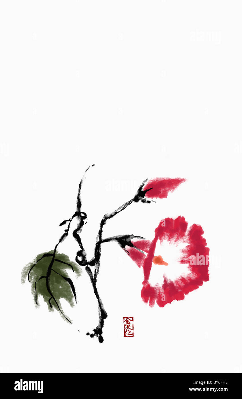 morning glory in ink painting Stock Photo - Alamy