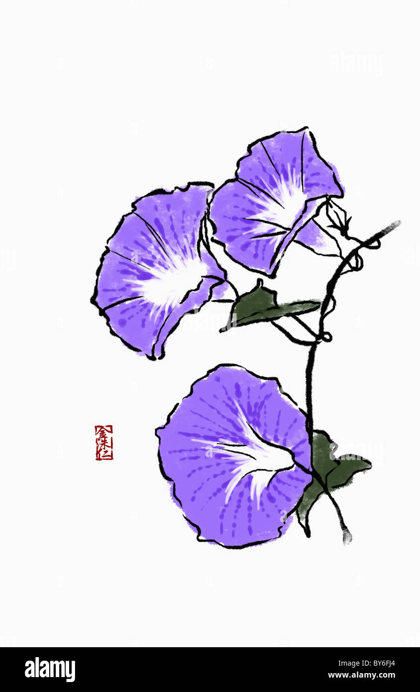 morning glory in ink painting Stock Photo - Alamy