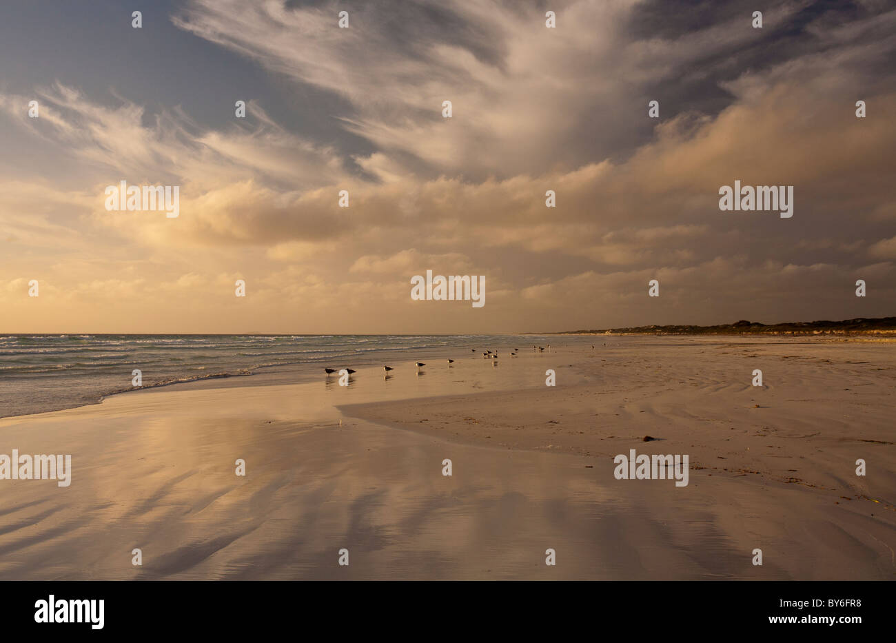 Empty beach sunset clear skies hi-res stock photography and images - Alamy