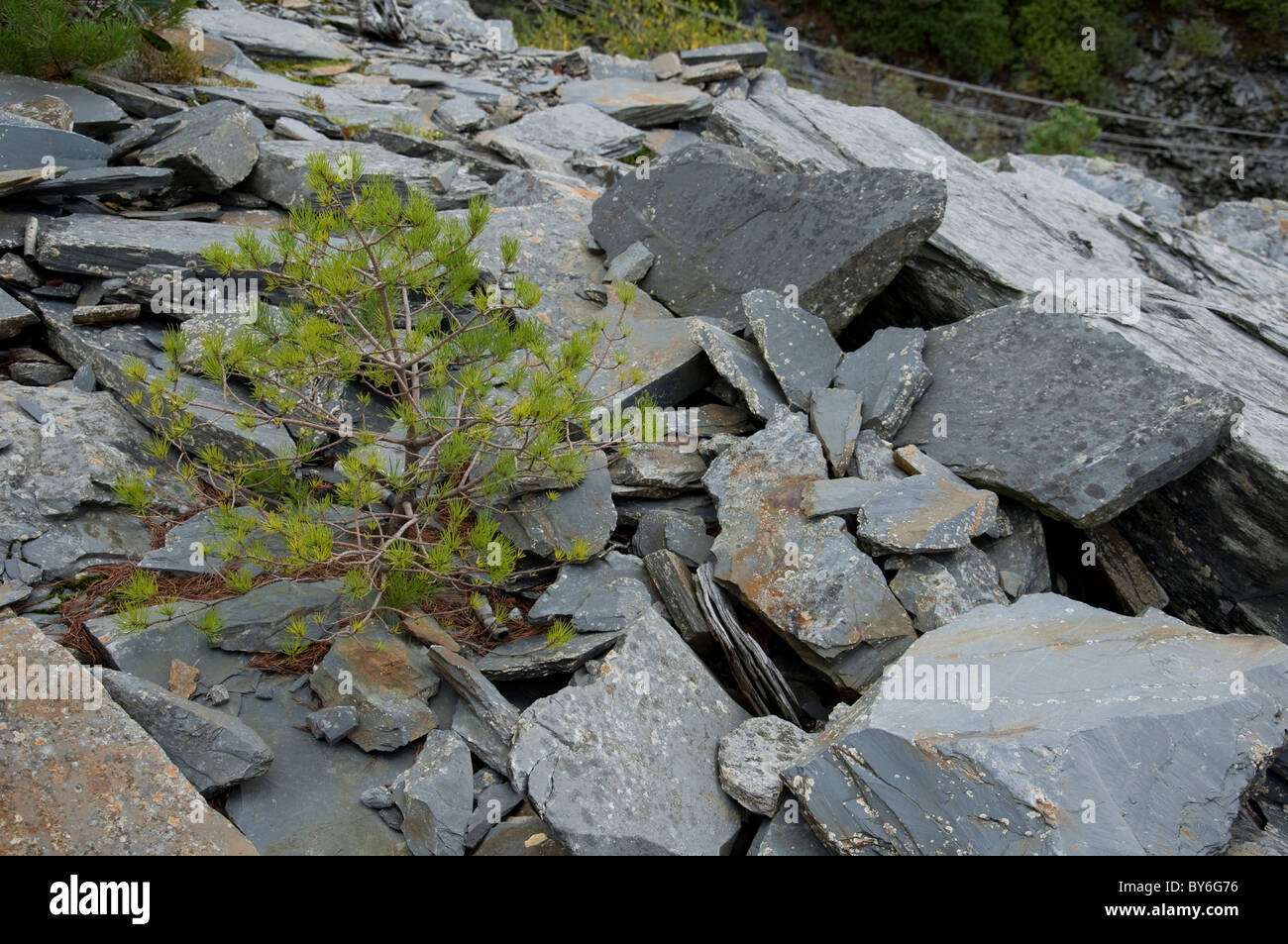 Slate waste at the Llechwedd Slate Caverns museum in North Wales Stock ...
