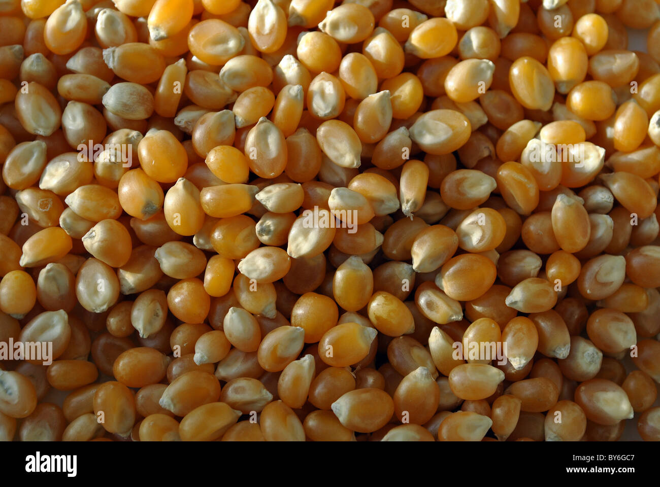 Popcorn kernels hi-res stock photography and images - Alamy