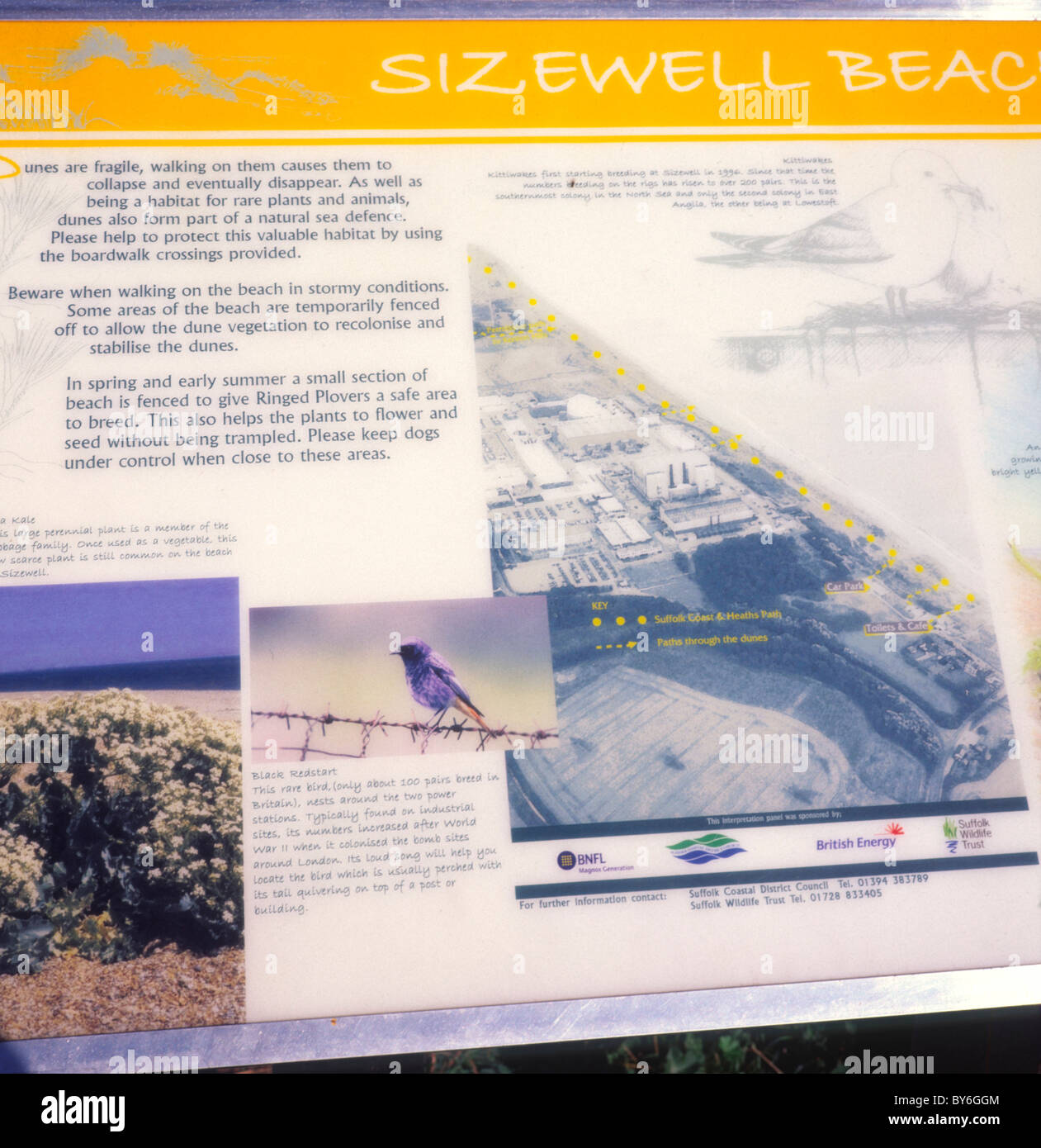 Sizewell beach information sign Suffolk Stock Photo - Alamy