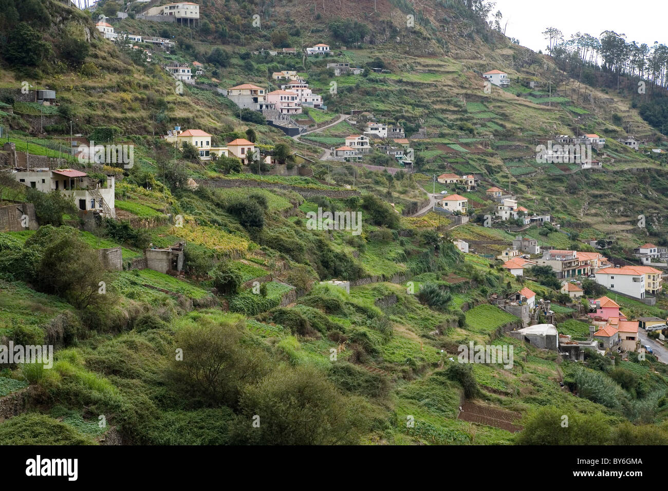 Terraced fields for farming, Madeira Stock Photo - Alamy