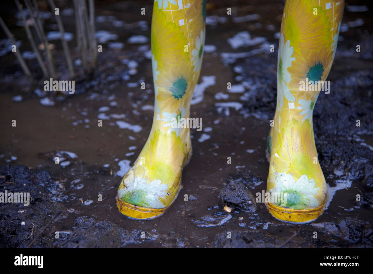 Pair of yellow rubber boots standing in a muddy puddle Stock Photo - Alamy