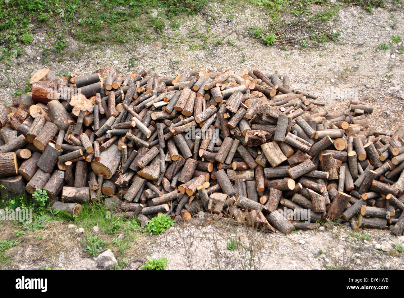 larch wood cut for heating Stock Photo - Alamy