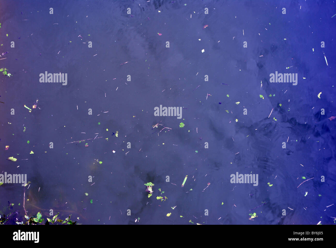 The surface of a lake with many small ripples Stock Photo - Alamy