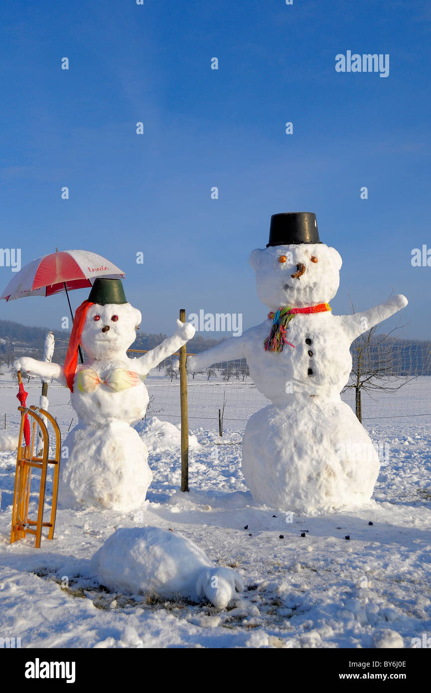 Snowman Family with animal figures, winter landscape, snowman family ...