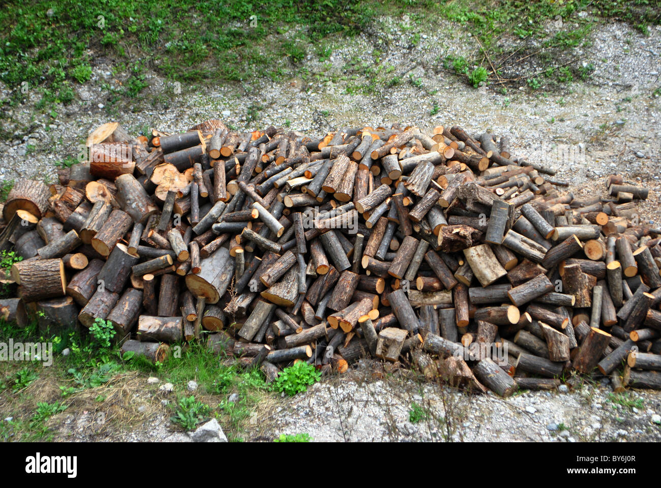 larch wood cut for heating Stock Photo - Alamy