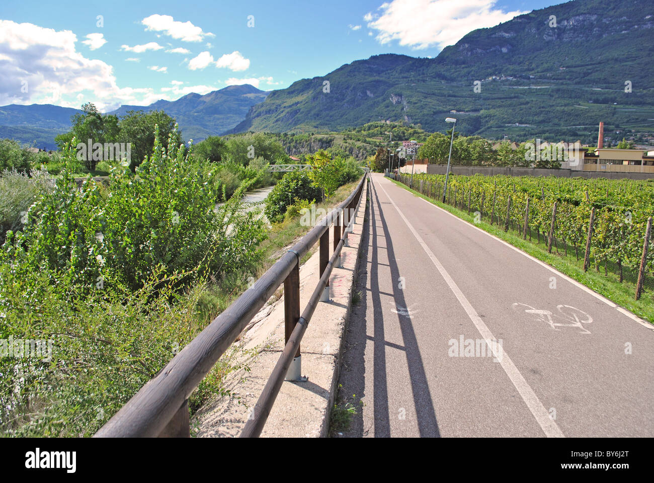 road for bicycles surrounded by nature Stock Photo - Alamy