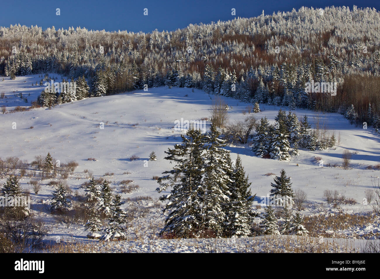 Northern exposure hi-res stock photography and images - Alamy