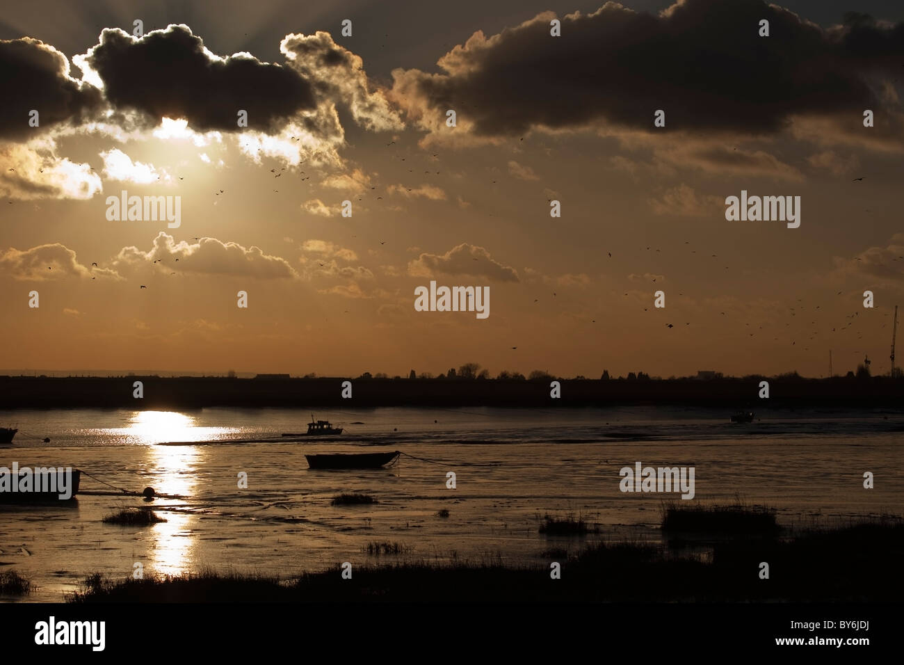 Sunset over the mudflats Stock Photo - Alamy