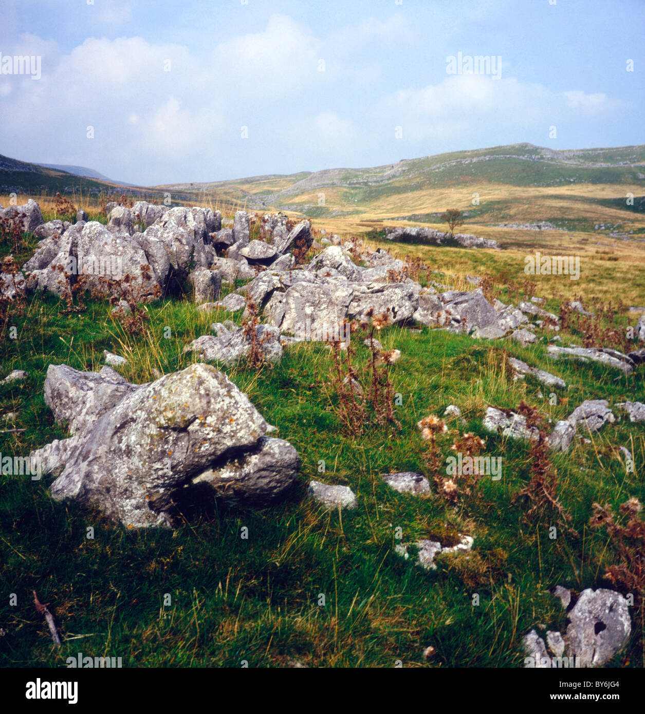 Carboniferous limestone karst landscape scenery Yorkshire Dales ...