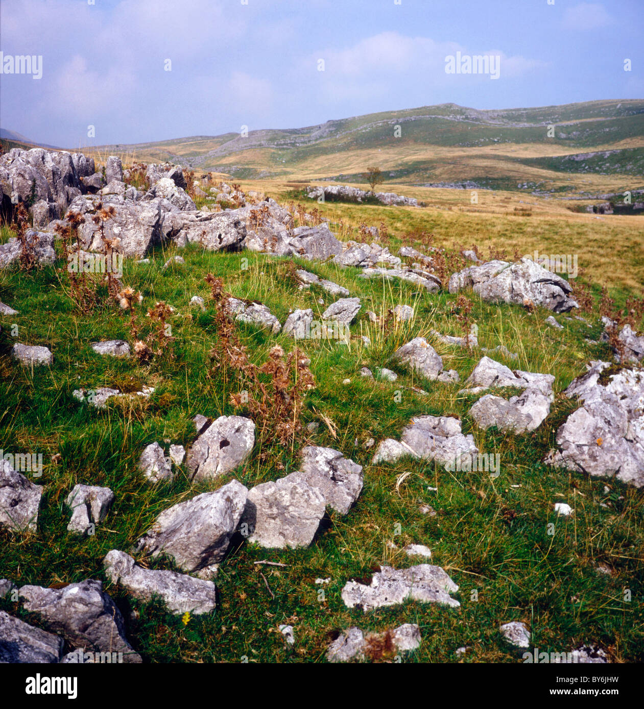Carboniferous limestone karst landscape scenery Yorkshire Dales ...
