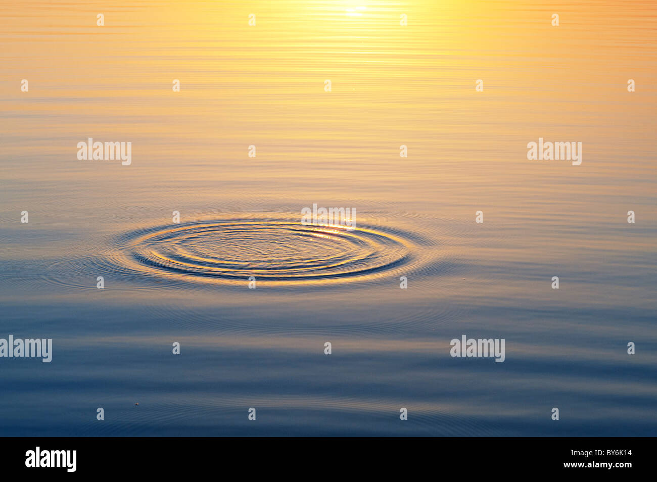 Golden water ripples at sunset on a lake in India Stock Photo - Alamy