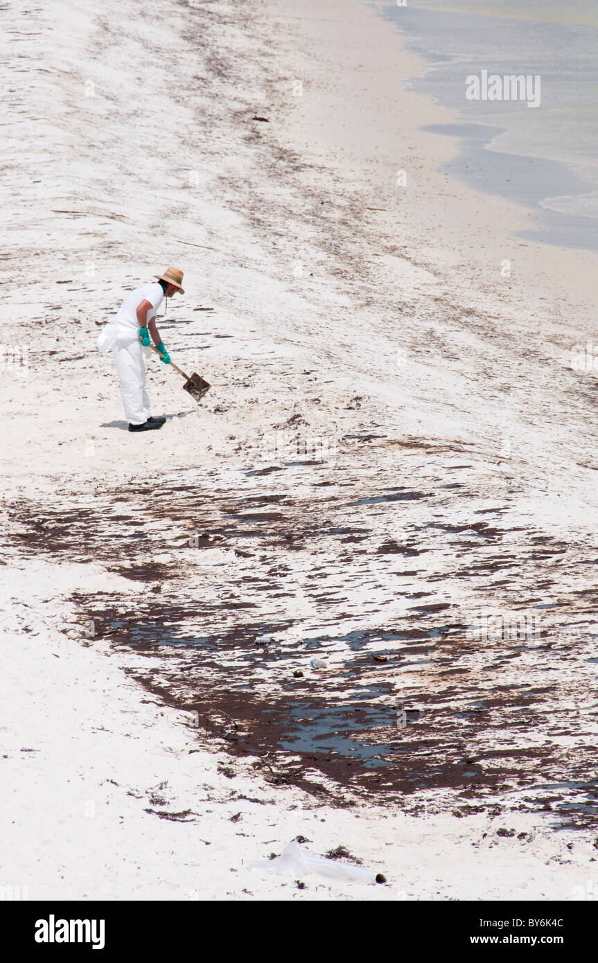 A BP worker uses a shovel to help remove fresh oil washed ashore in ...