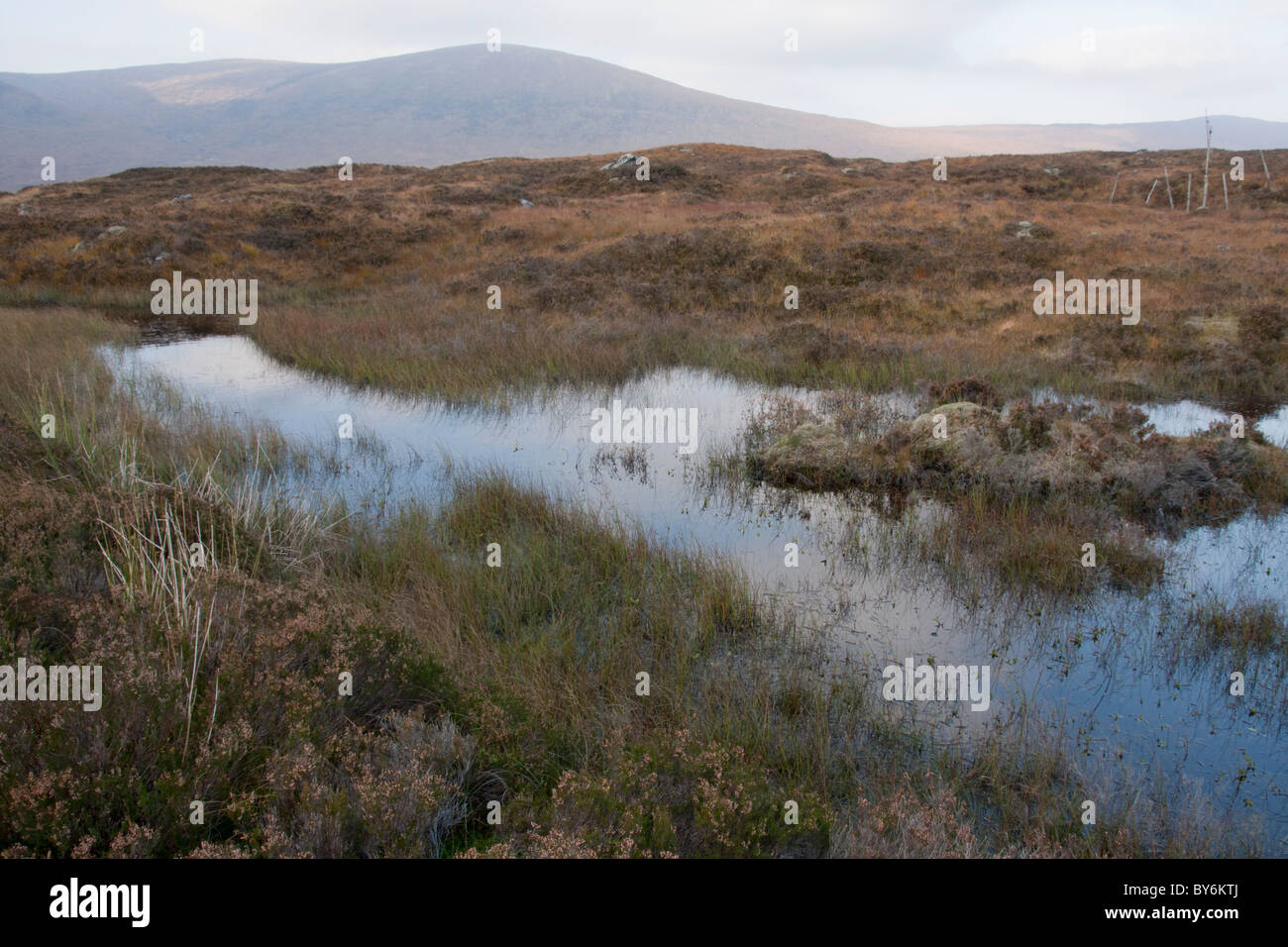 Moorland colours winter hi-res stock photography and images - Alamy