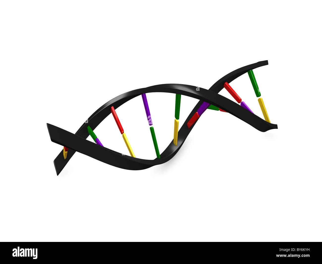 Concept graphic; DNA cell structure, isolated on white background Stock ...