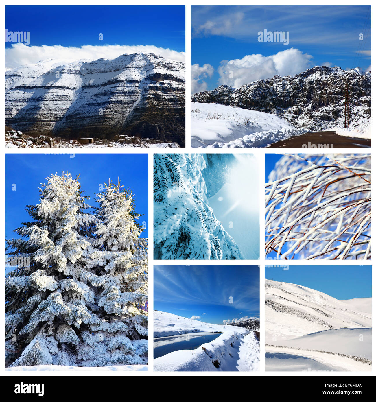 Beautiful winter collage, collection of cold weather landscapes with ...