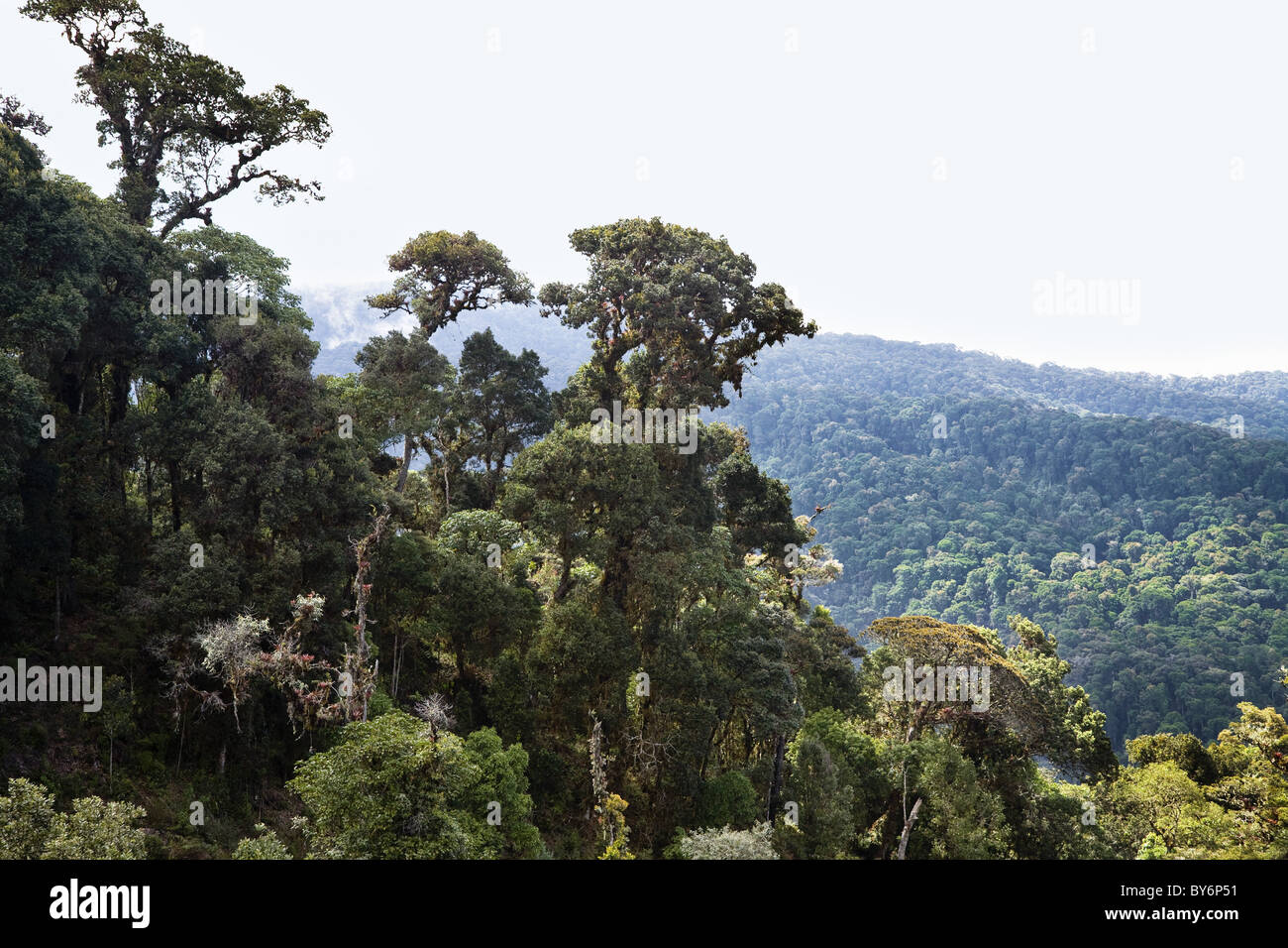 Cerro De La Muerte Costa Rica High Resolution Stock Photography and ...