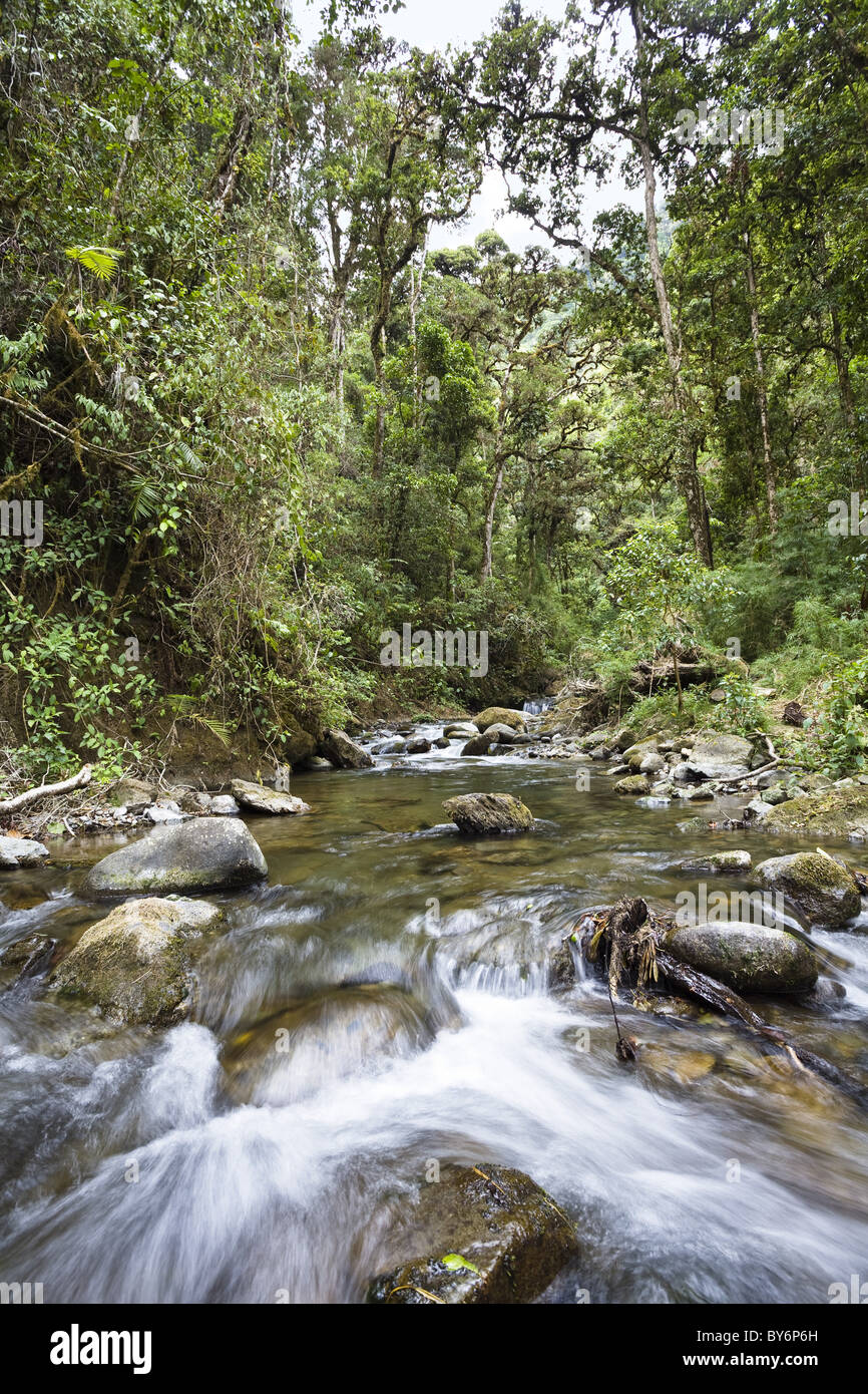 Rio Savegre, Cerro de la muerte, Costa Rica Stock Photo - Alamy