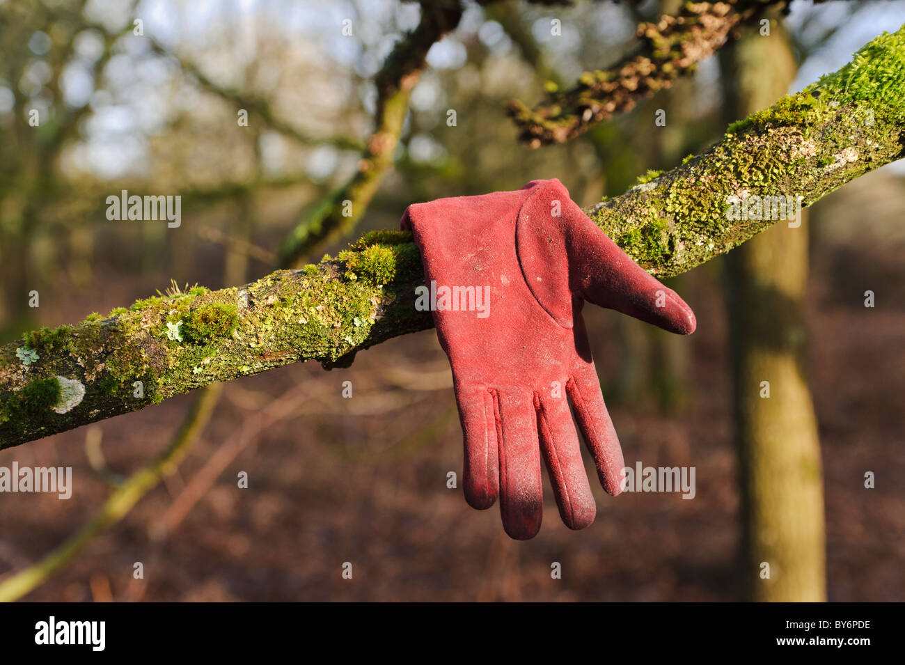 Dropped glove hi-res stock photography and images - Alamy