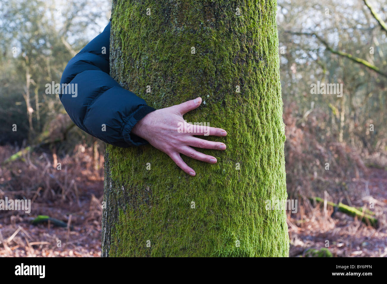 Man hidden behind a tree in a wood with one arm visible Stock Photo - Alamy