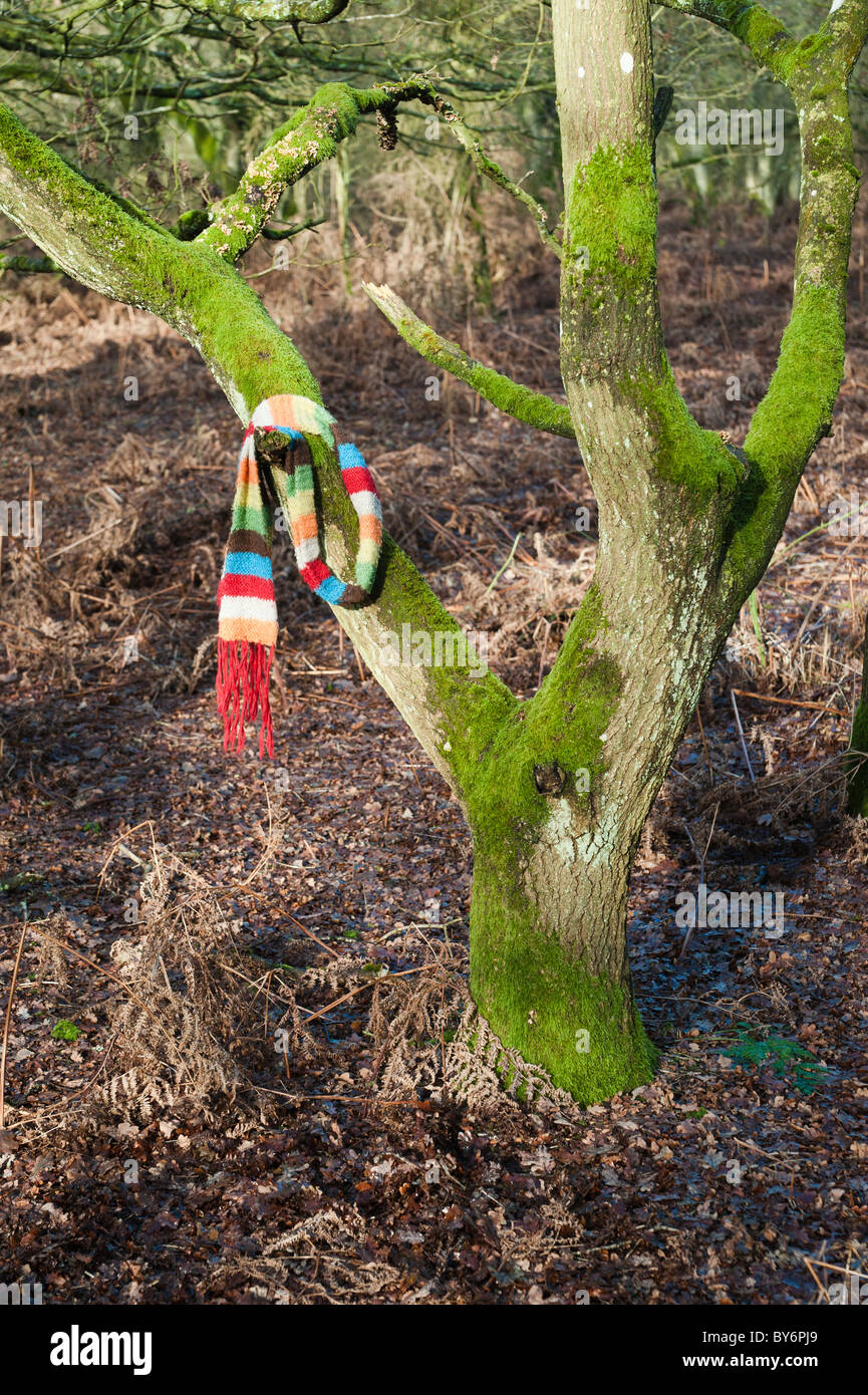 Lost scarf hi-res stock photography and images - Alamy