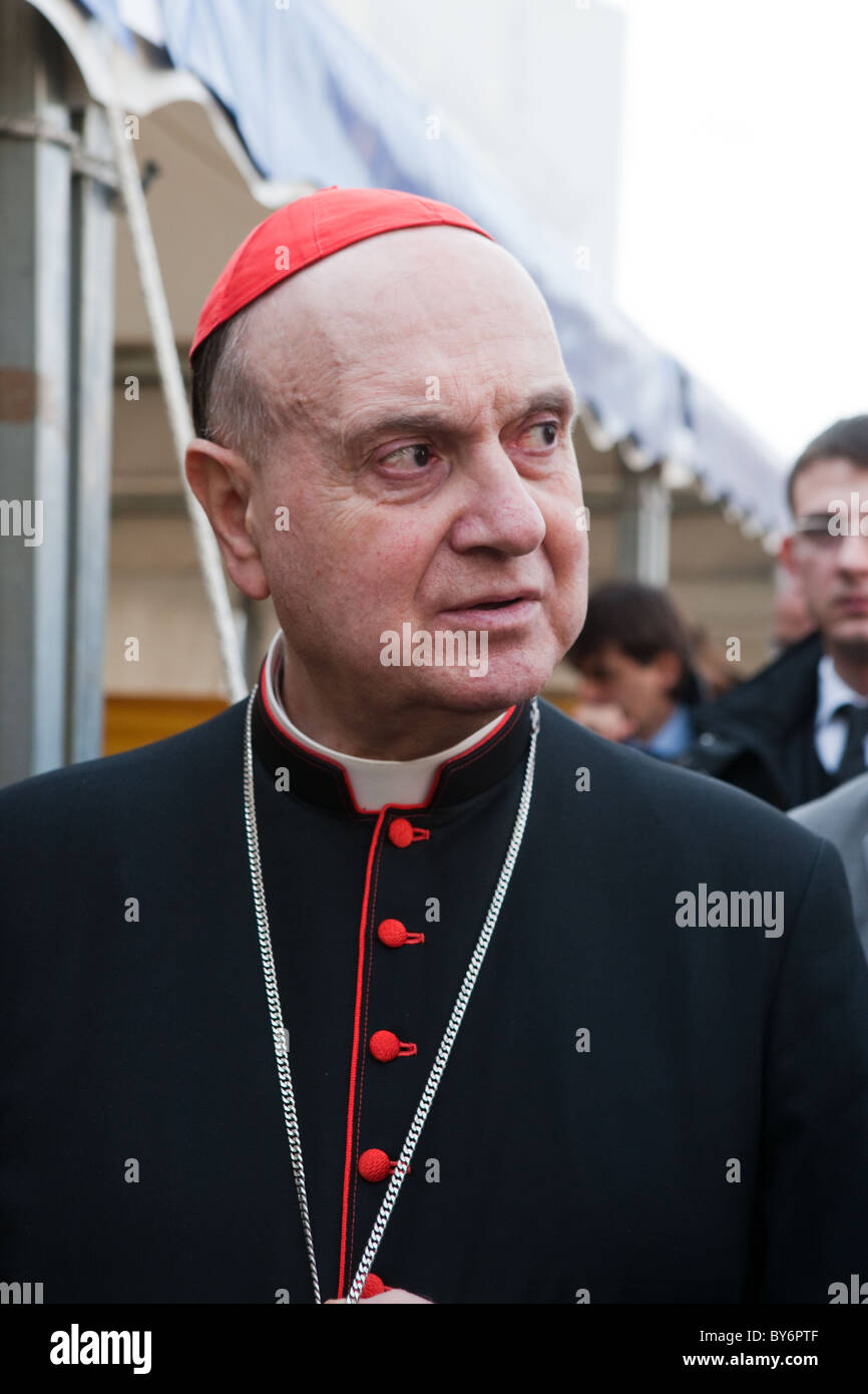 "Animals blessing" day in Rome near Saint Peter's square, cardinal Rome ...
