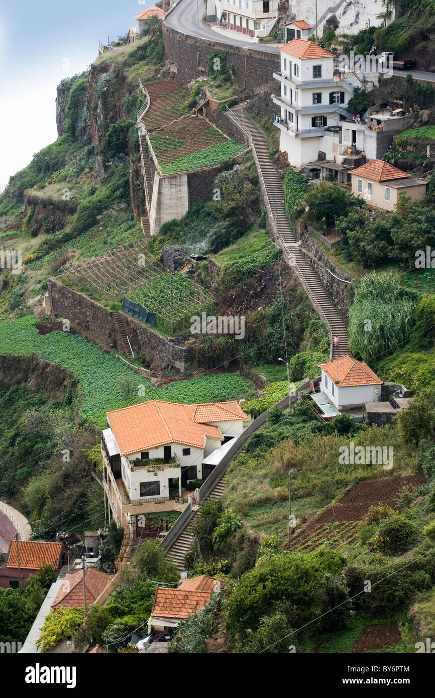 Farm terraces and housing on a steep hillside on Madeira Stock Photo ...