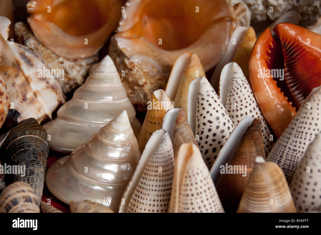 Seychelles, Island of Mahe. Capital city of Victoria. Souvenir ...