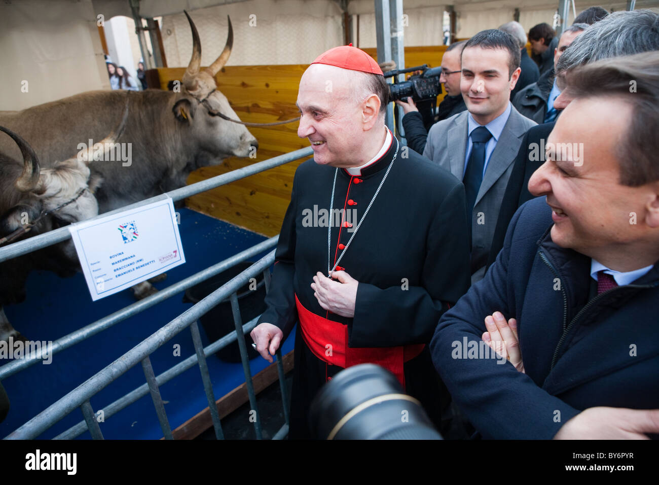 cardinal Rome Italy Europe Stock Photo - Alamy