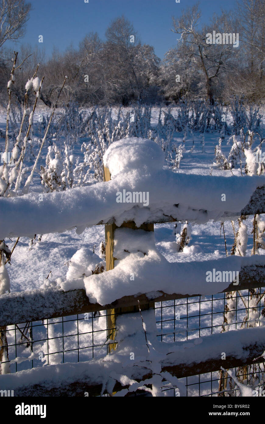 Northcroft park newbury hi-res stock photography and images - Alamy
