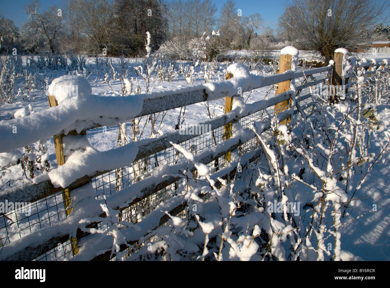 Northcroft park newbury hi-res stock photography and images - Alamy