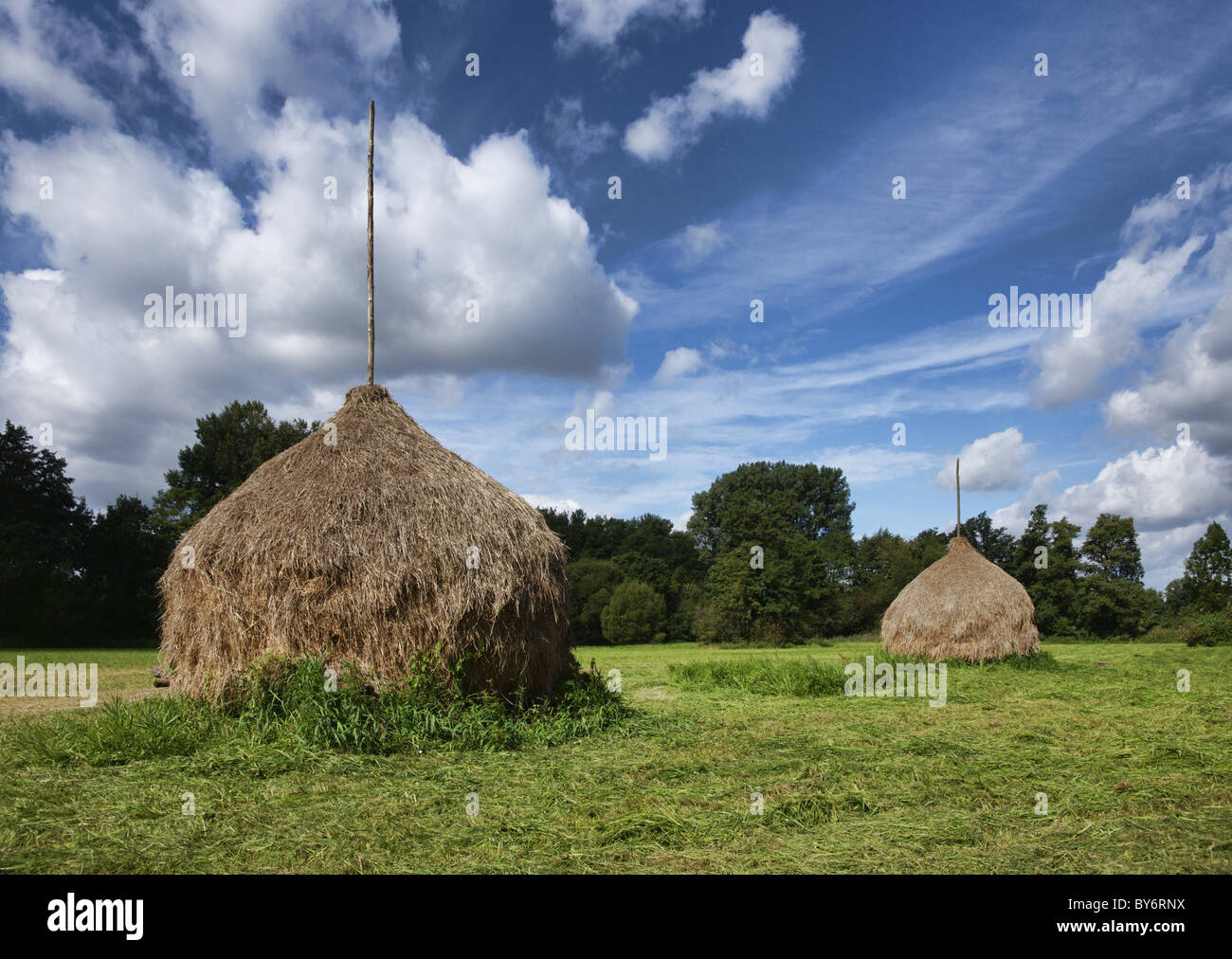 Haystack, Lehde, Spreewald, Land Brandenburg, Germany Stock Photo - Alamy