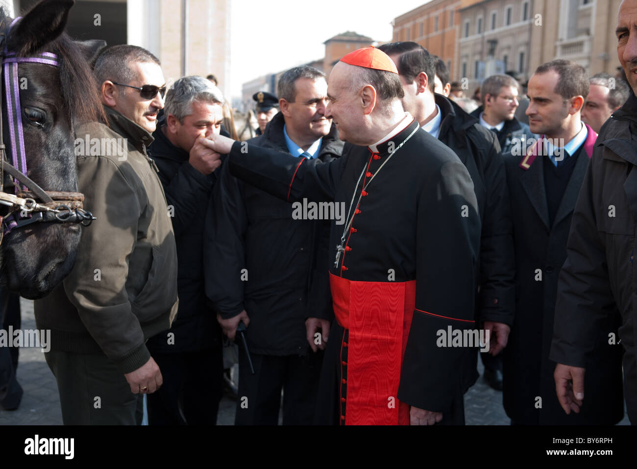 "Animals blessing" day in Rome near Saint Peter's square, cardinal Rome ...