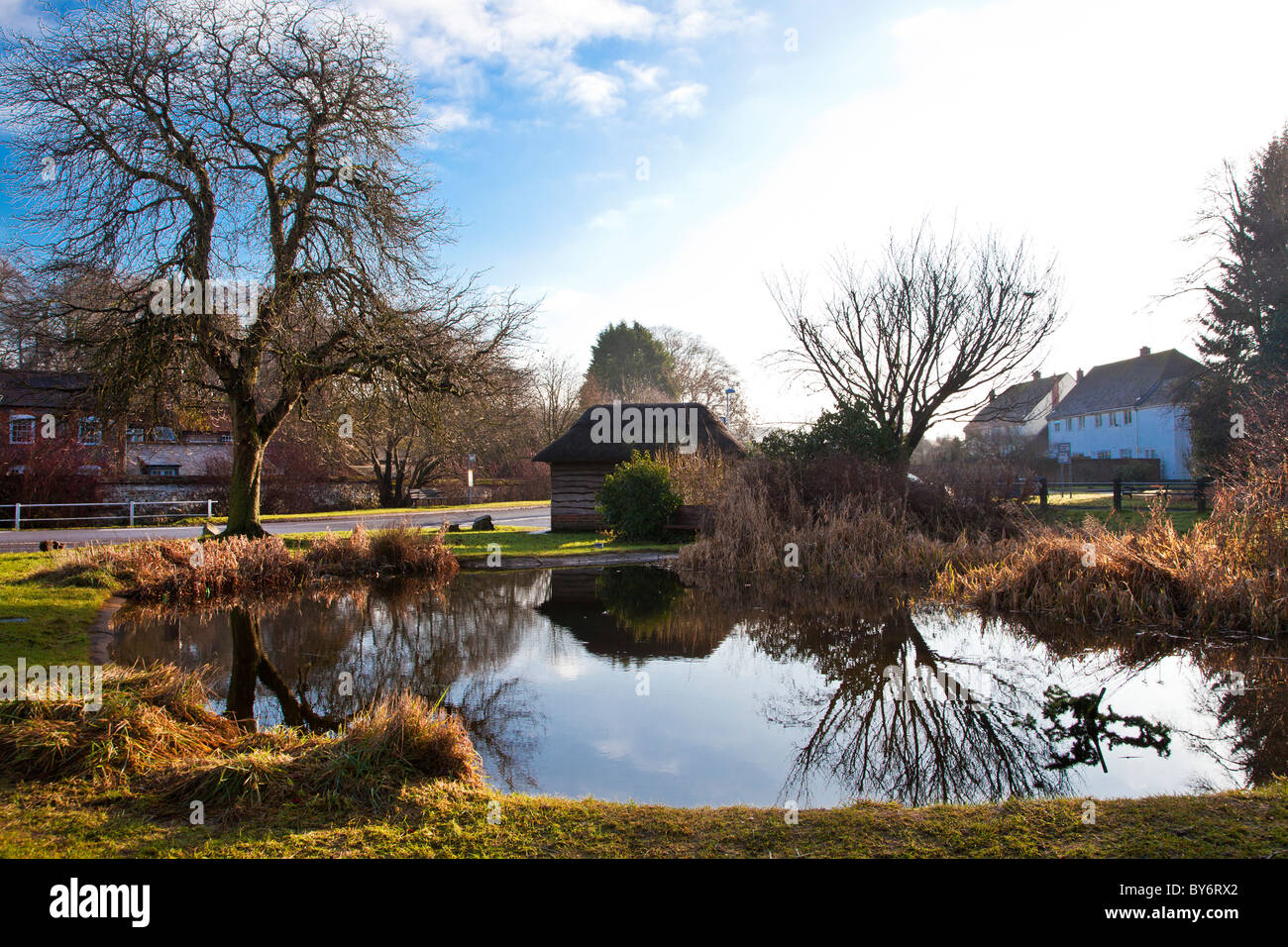 The village pond on a sunny day in winter in the village of Aldbourne ...