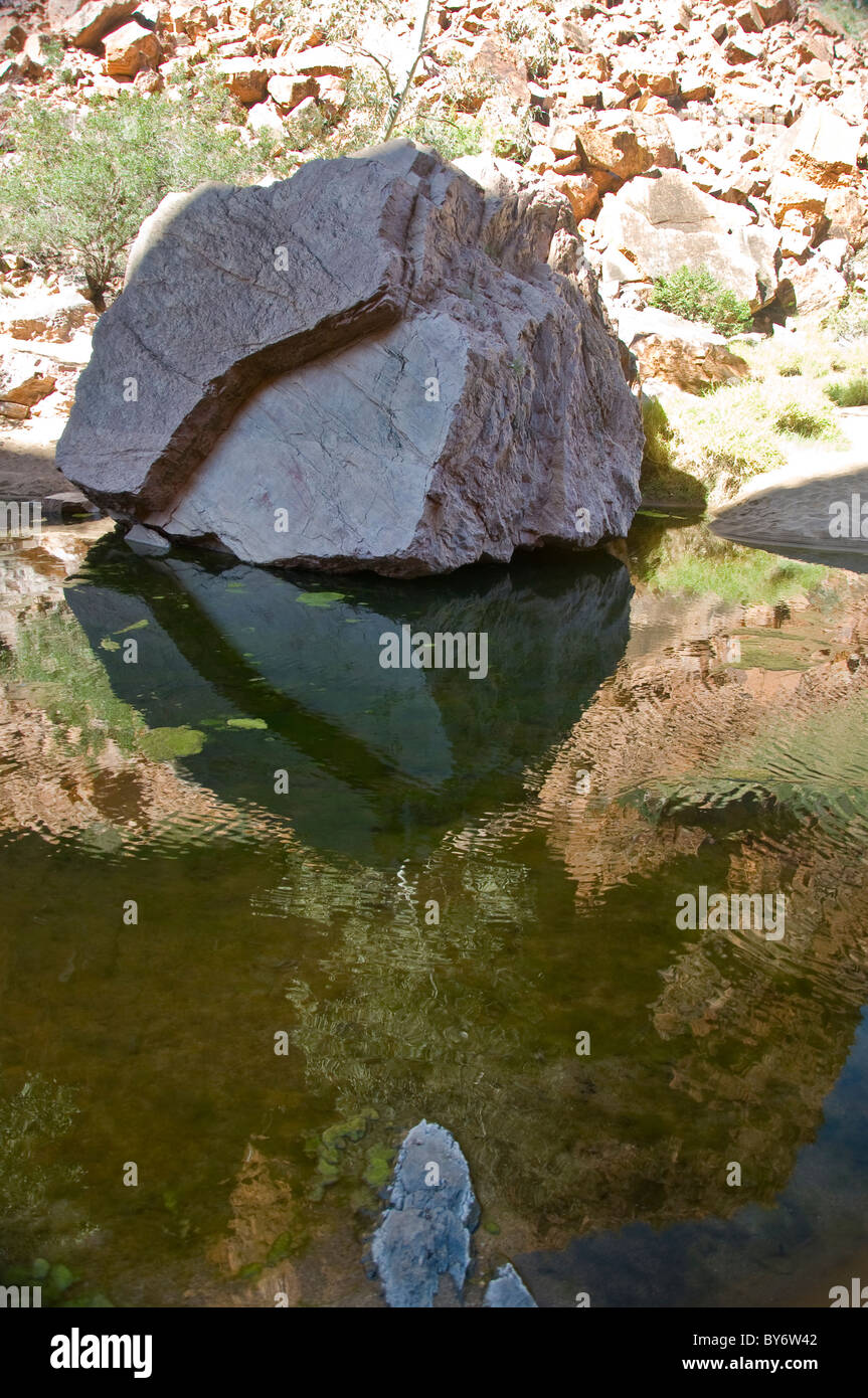 Desert australia hi-res stock photography and images - Alamy