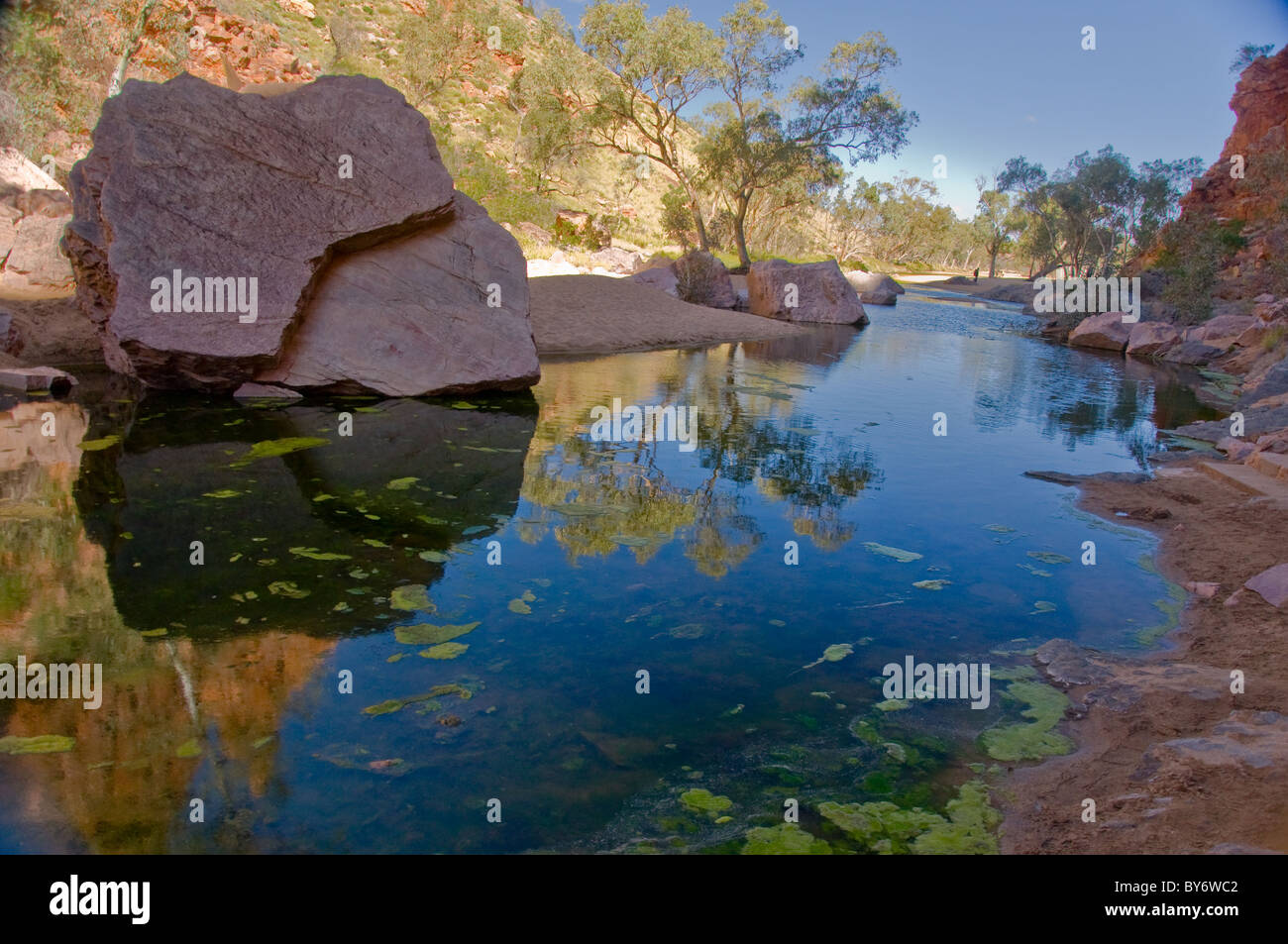 desert pond in the red center, northern territory, australia Stock ...