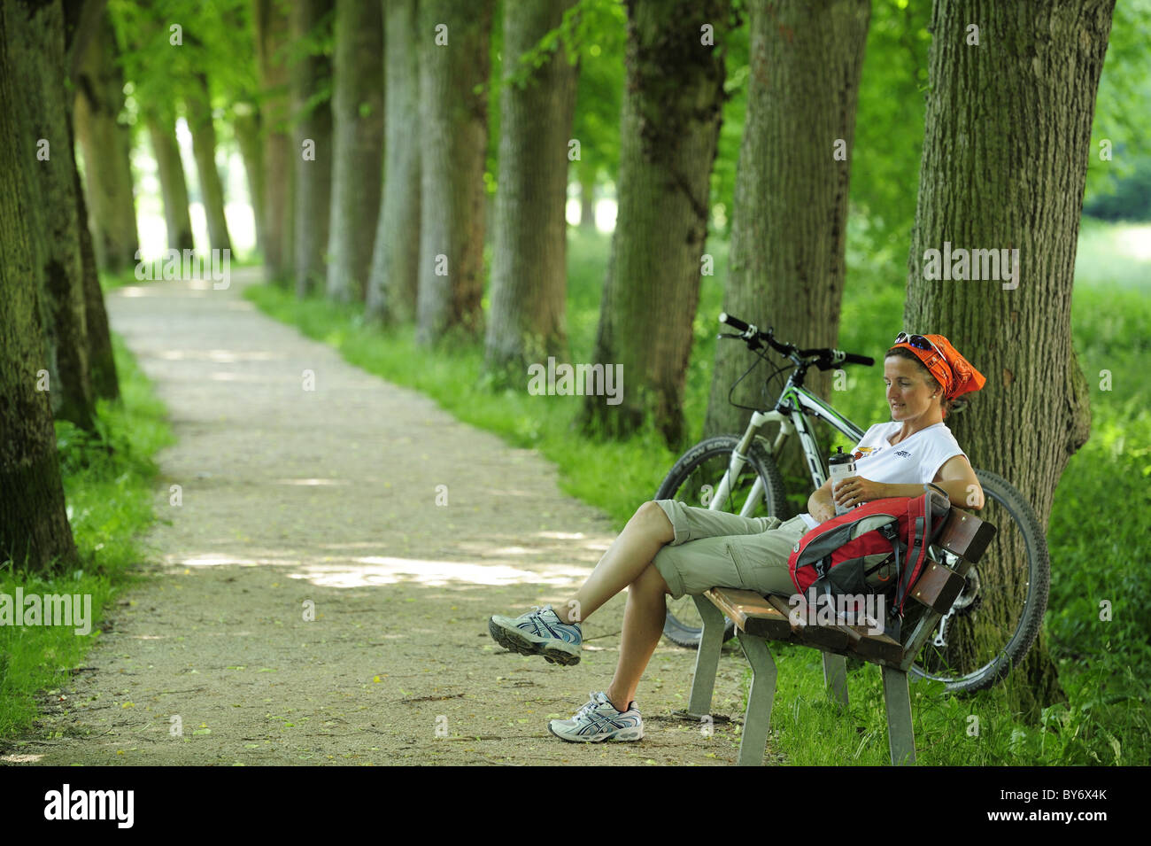Female cyclist resting on bench in lime tree alley, Altmuehltal cycle ...