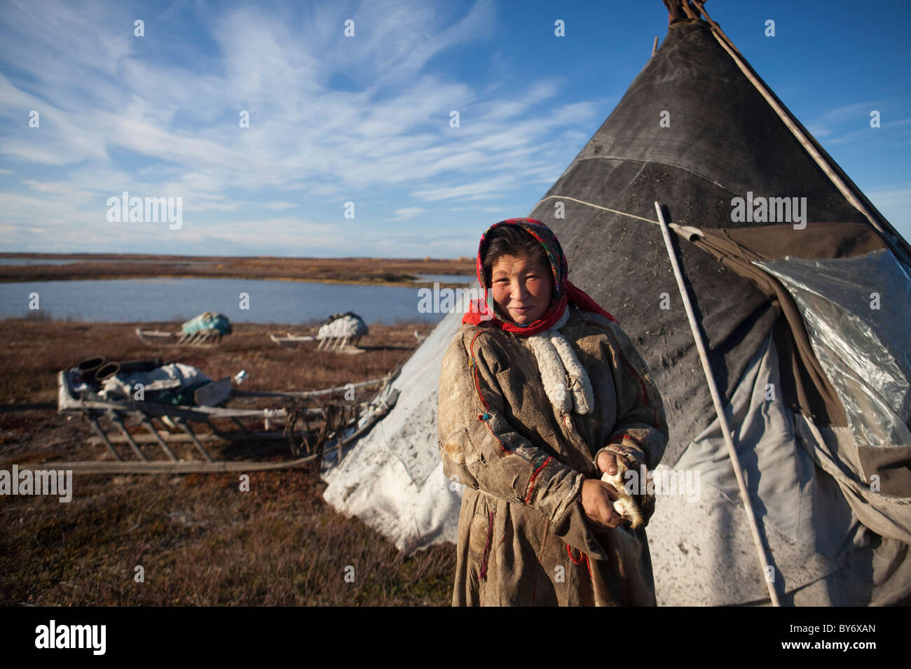 The Nenet tribe of the Yamal Peninsula Russia are reindeer herders. Gas ...