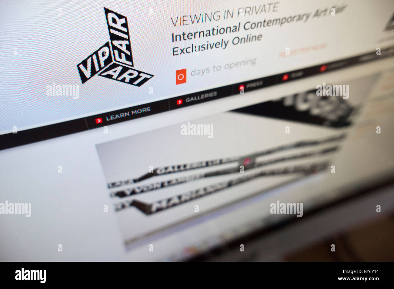 The website of the VIP Art Fair Stock Photo - Alamy