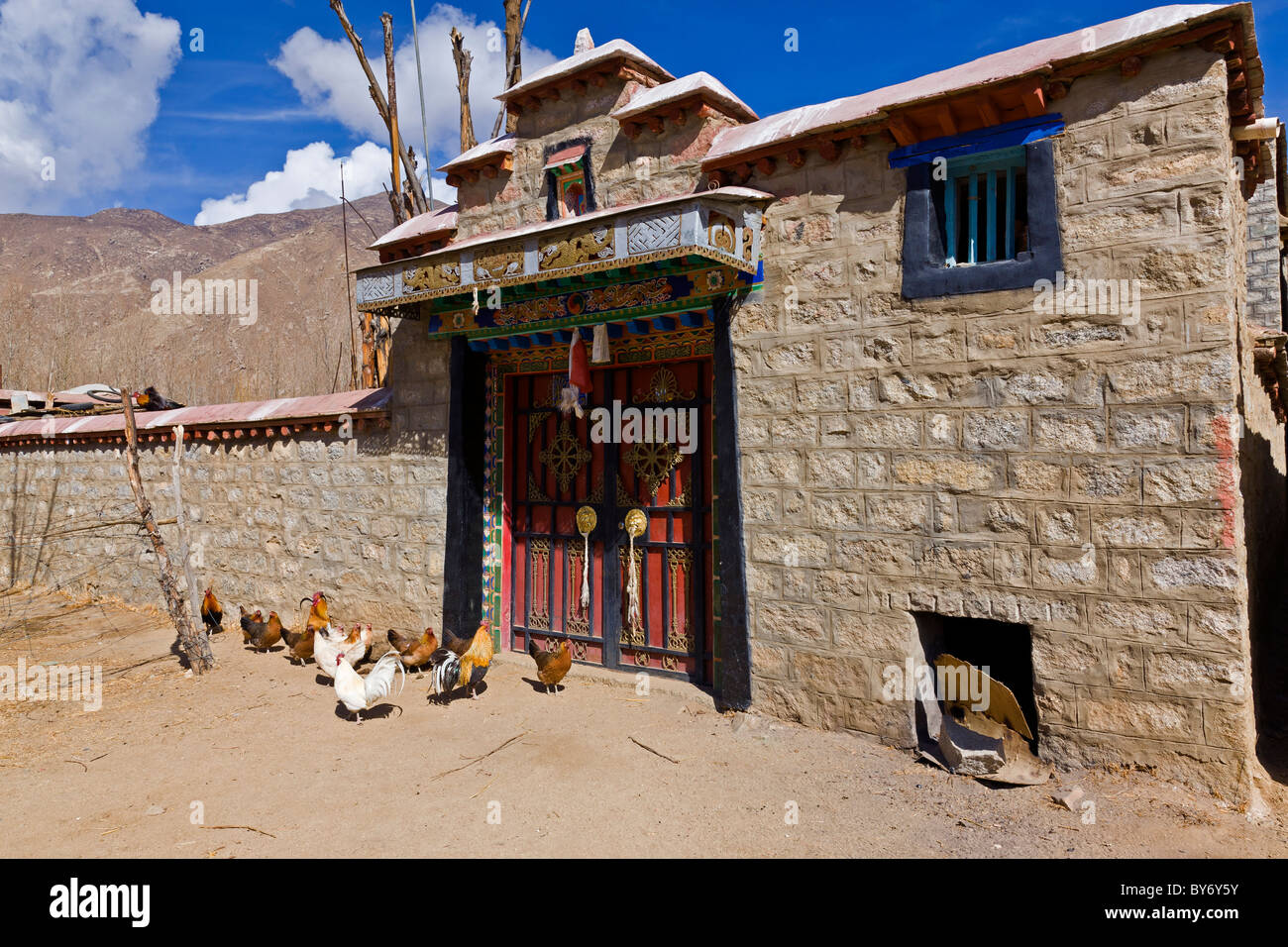 Poultry house hi-res stock photography and images - Alamy