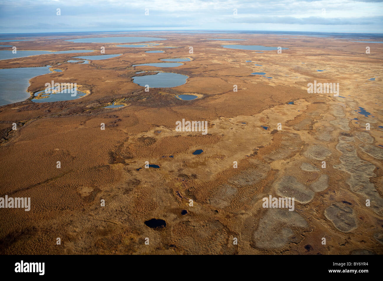 Yamal Peninsula , Western Siberia , Russia . The Nenet tribe way of ...