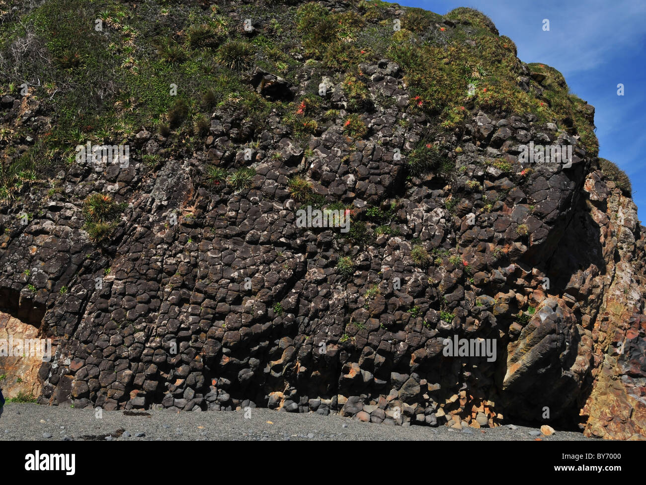 Basaltic lava flow, with sub-vertical columnar joints or cooling cracks ...