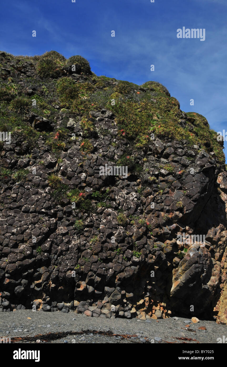 Blue sky portrait of basaltic cliff, with sub-vertical columnar joints ...