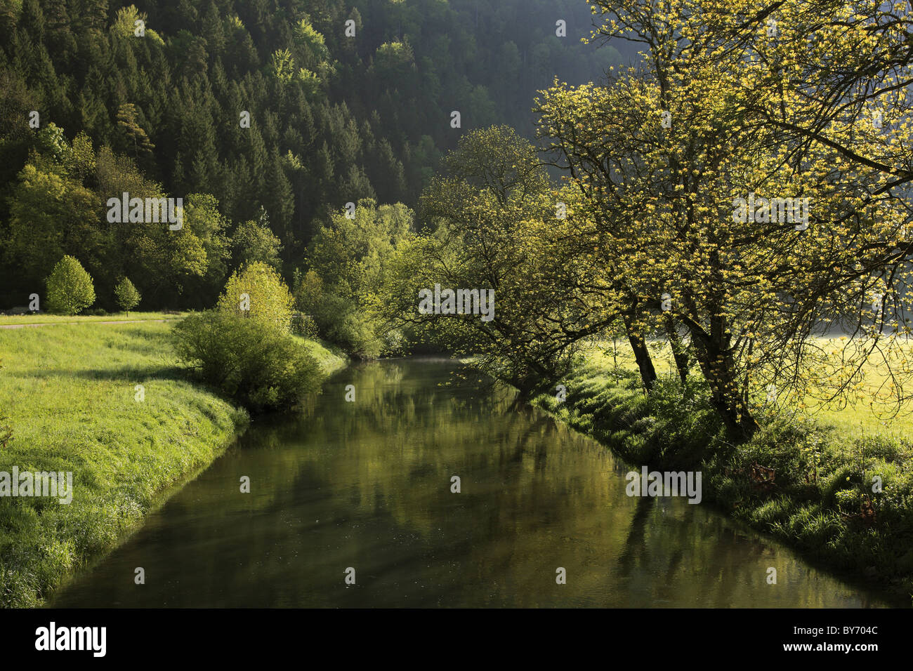 Danube valley near Beuron, Upper Danube nature park, Danube river ...