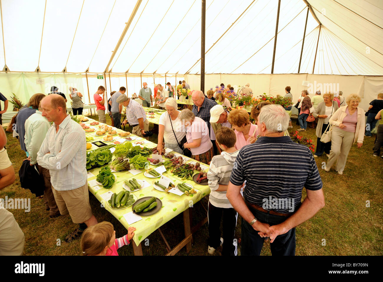 Bacton, Suffolk. Village Fete with Vegetable show and Competition Stock ...