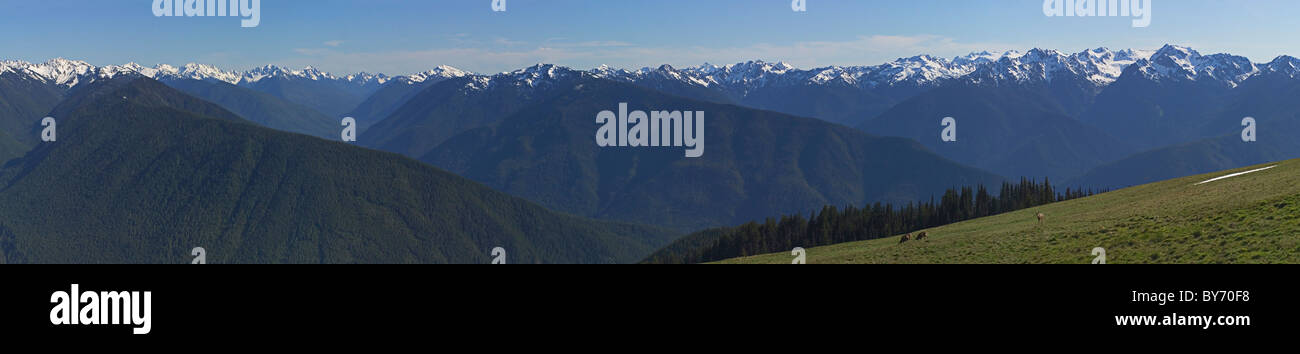 Panorama of Olympic mountains, Washington state, USA, as viewed from ...