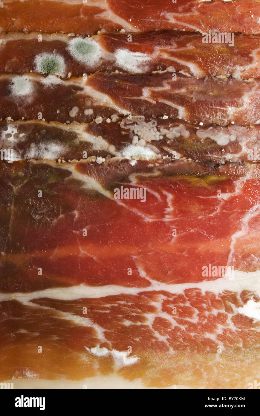 The photography of cultures of mould on the meat (sliced ham Stock ...