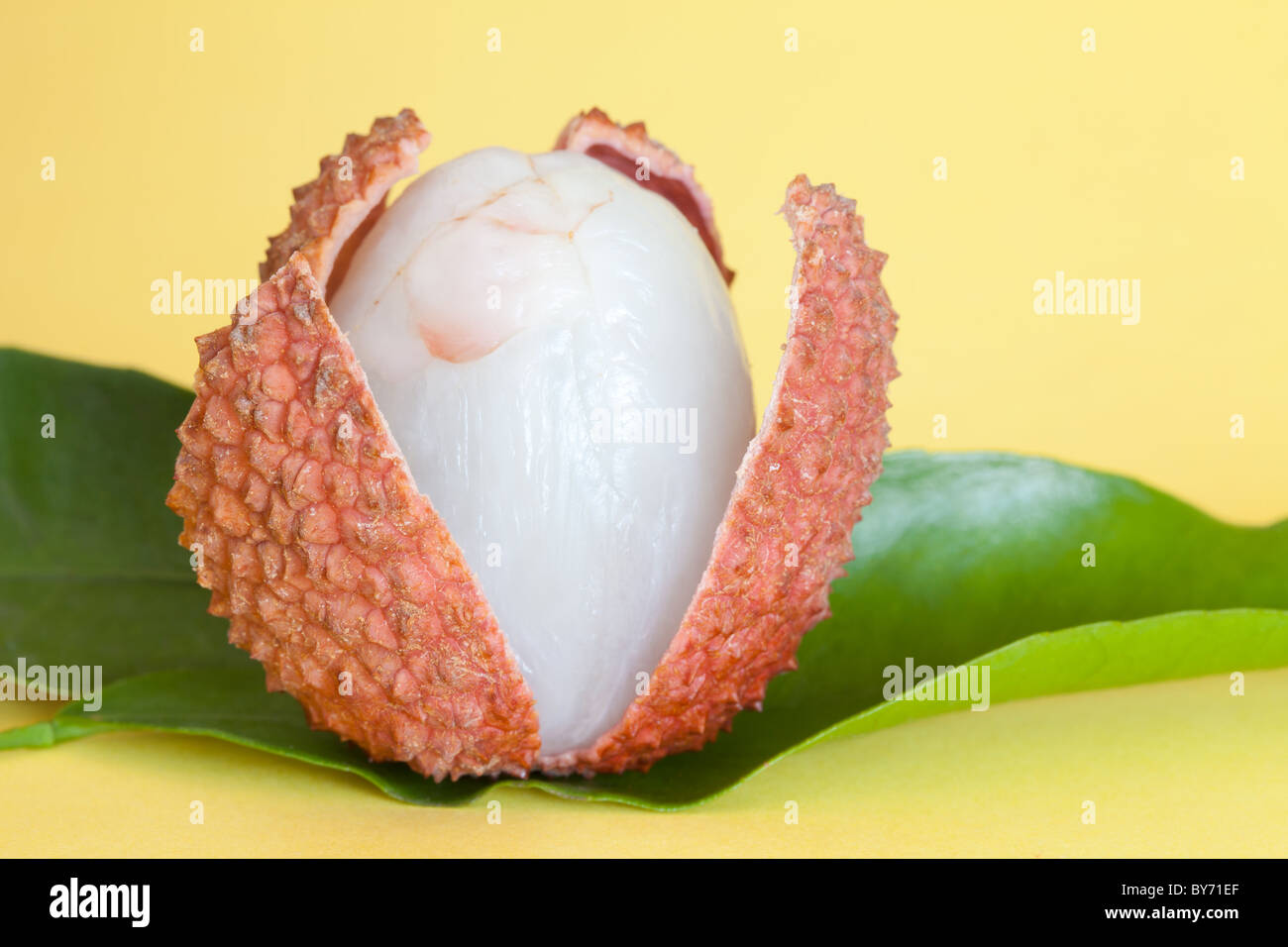 Food - Fruits - Lychee Macro Stock Photo - Alamy